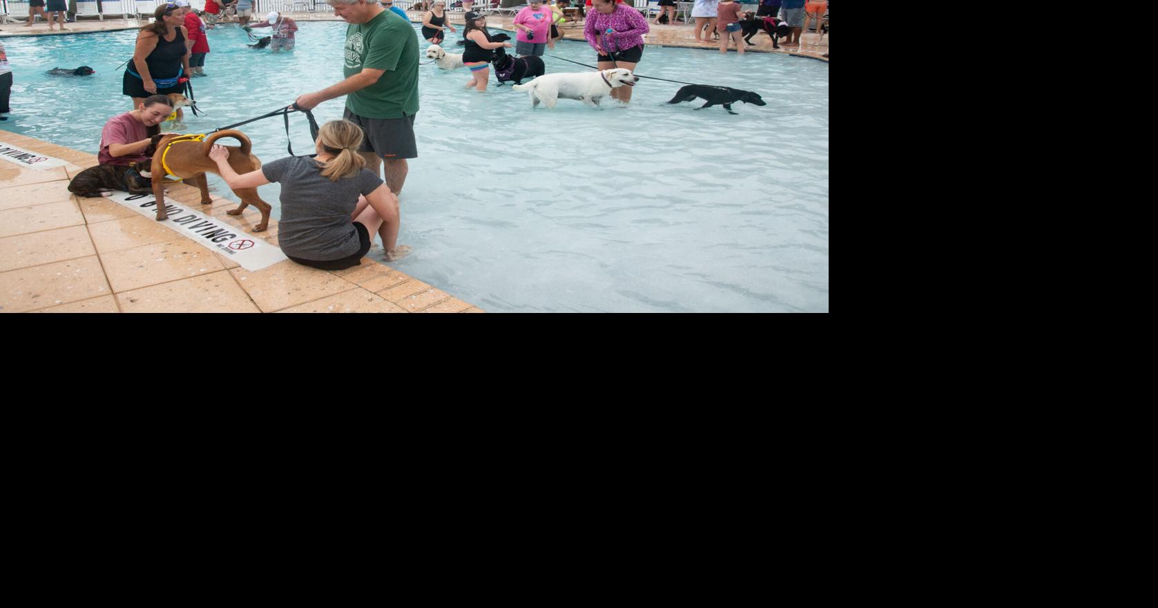 Drool at the Pool a great day for dogs | Life | thebrunswicknews.com