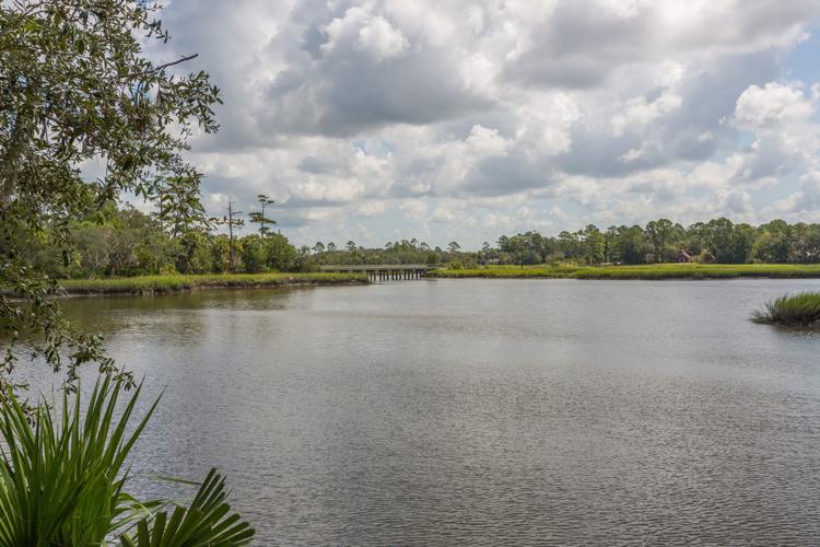 Hillary and Little Hillary Island - Blythe Island, Georgia | Real ...