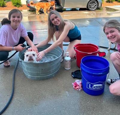 Students host dog wash for humane society | Local News ...