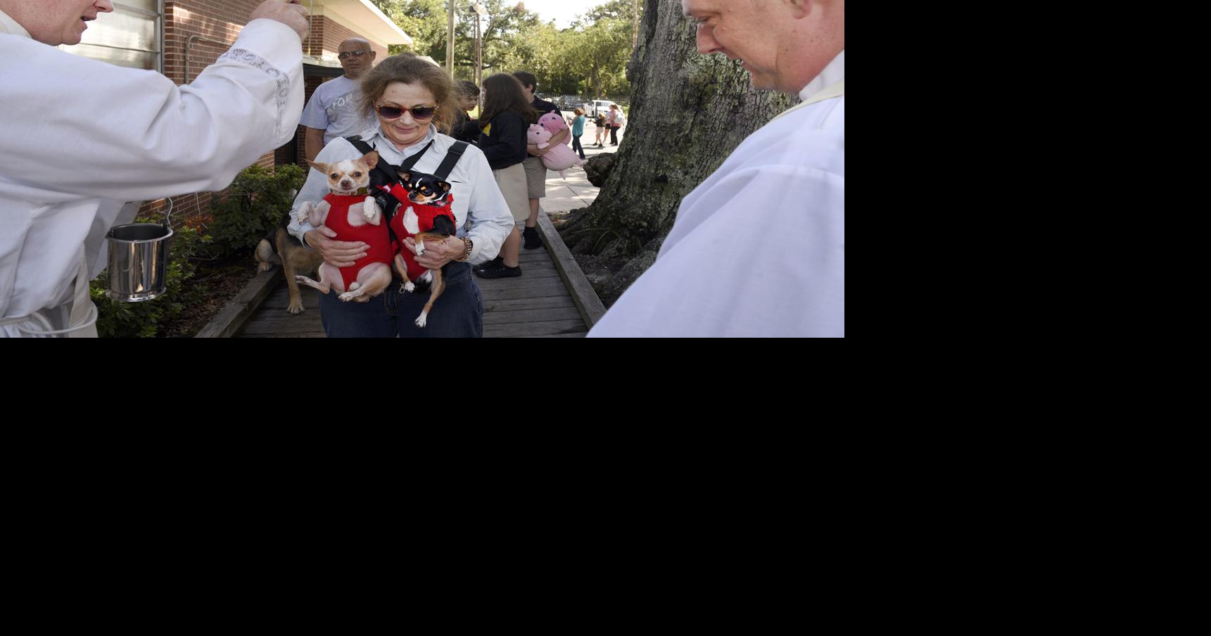 'A good kind of busy': St. Francis Xavier pastor takes up new post ...