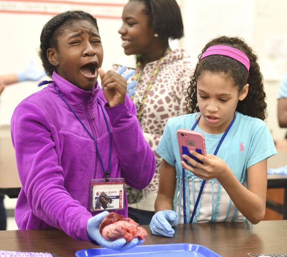 Dissection provides pupils valuable anatomy lesson | Local News ...