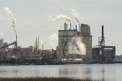Brunswick Cellulose striving to support local education | Newspapers in ...
