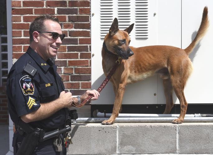Police dog Enzo has a nose for hidden suspects | Local News ...
