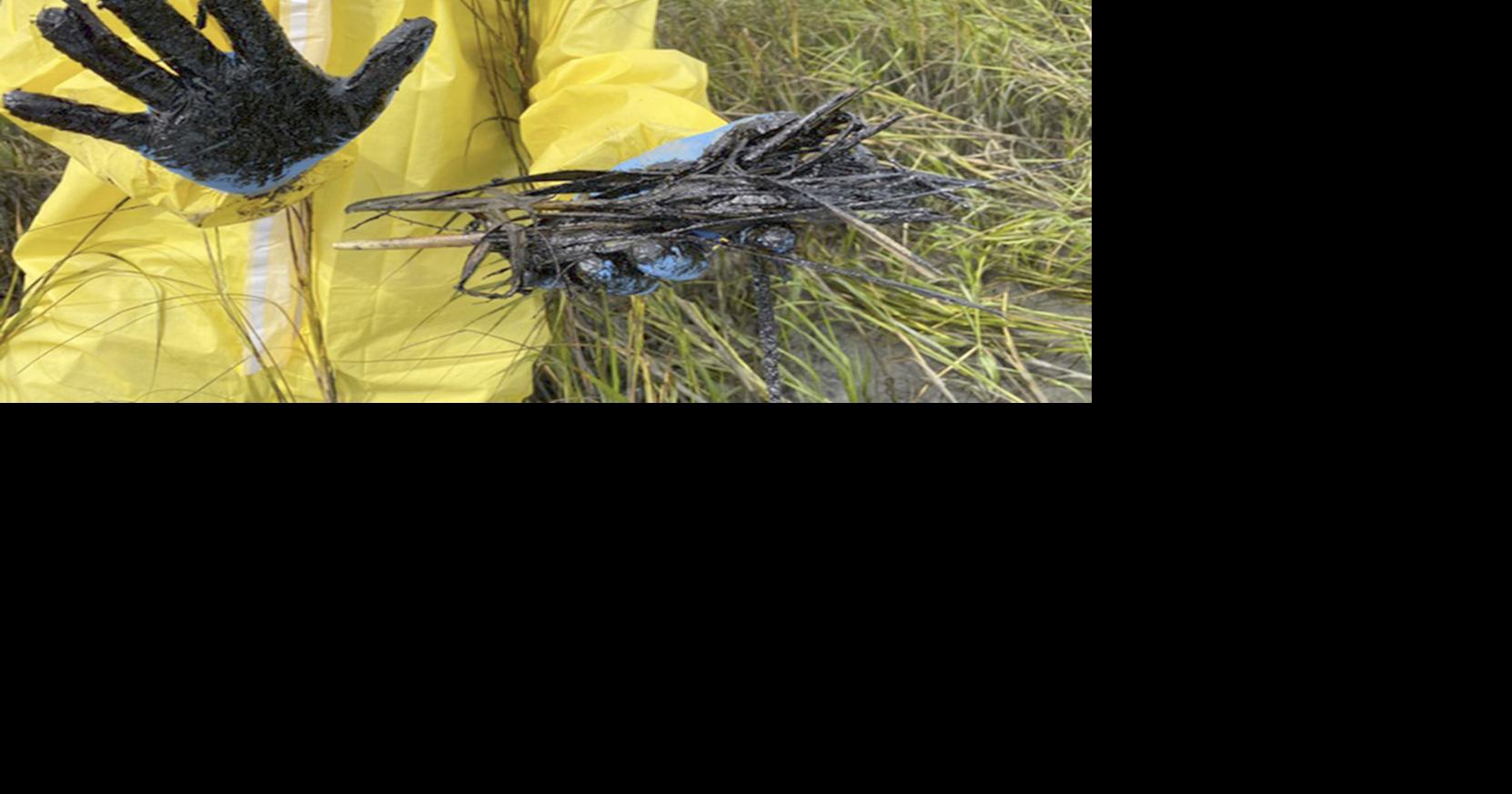 Southeast Georgia prominent in ‘Dirty Dozen’ water pollution list ...