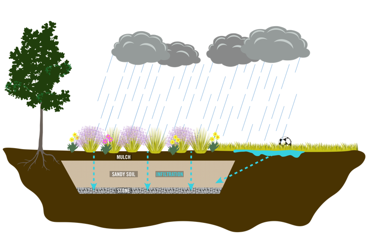 Green infrastructure demonstration built at Howard Coffin Park | Local ...