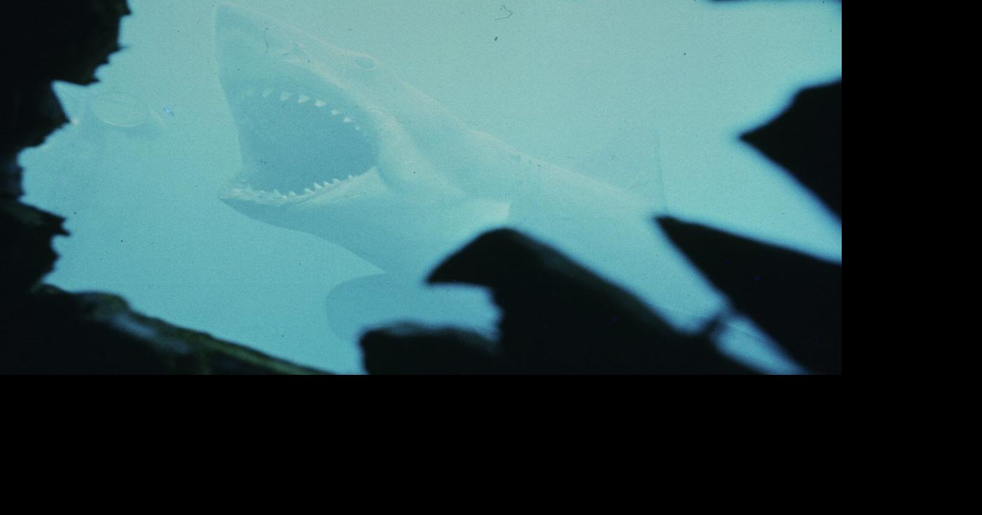 Think you know 'Jaws'? Test your knowledge with this trivia ahead of ...