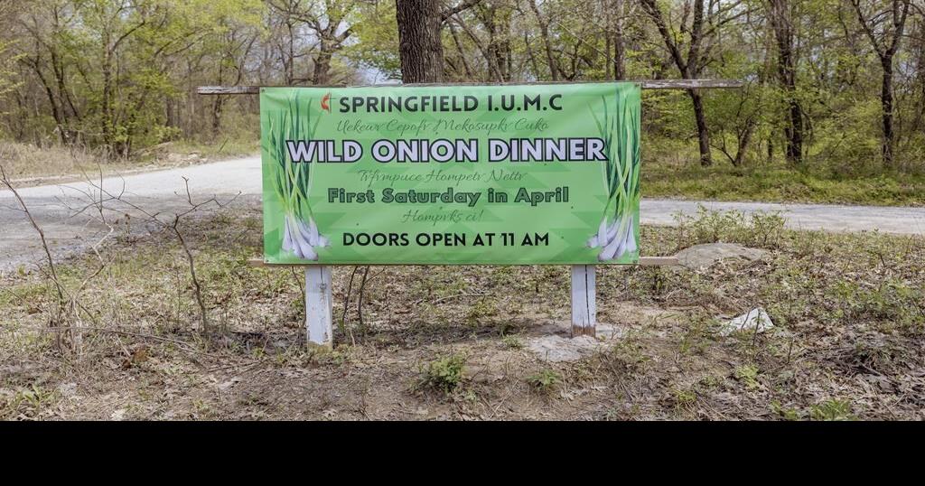 Wild onion dinners mark the turn of the season in Indian Country ...