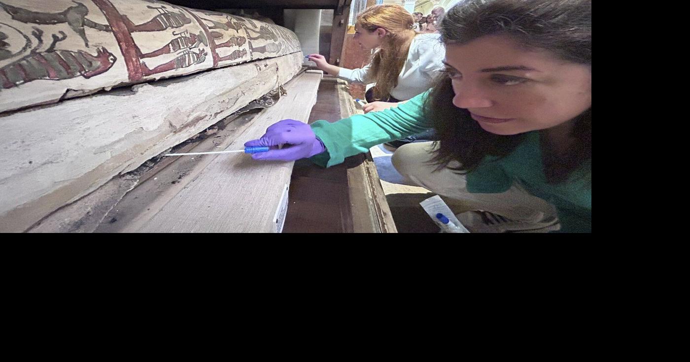 The scent of the mummy. Research discovers ancient Egyptian remains ...