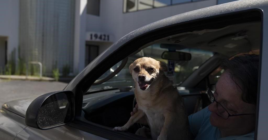 Records Tumble As Dangerous Heat Wave Scorches The Us West And Beyond