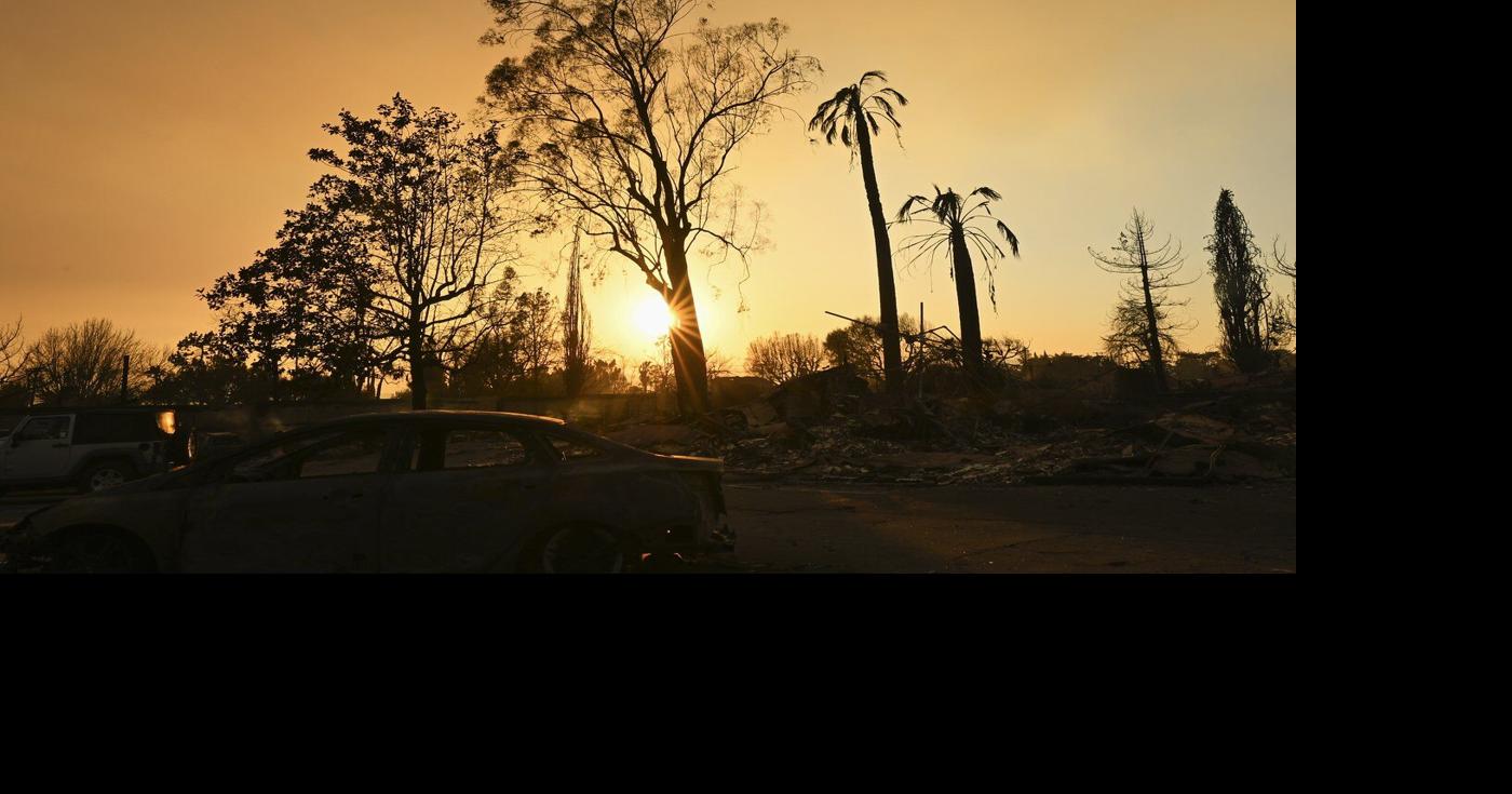 Actor Steve Guttenberg returns to his once-lush LA neighborhood now ...