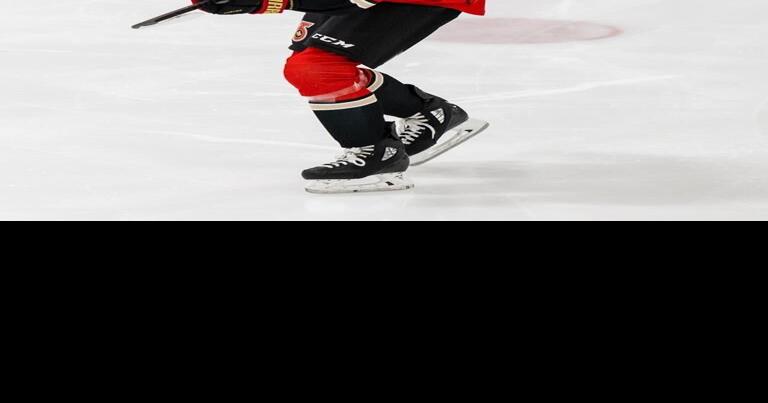 Toronto Six forward Daryl Watts to become PHF's highest-paid player ...