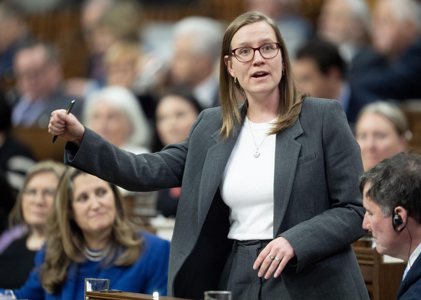 Liberal leadership race: A look at the potential candidates | National ...