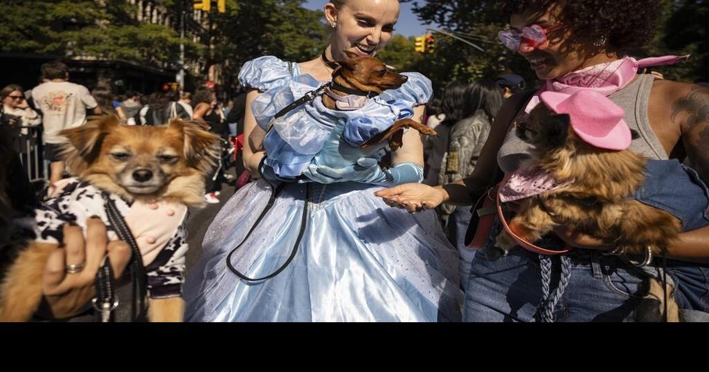 Pups on parade: Dogs dressed to the nines for annual New York City ...