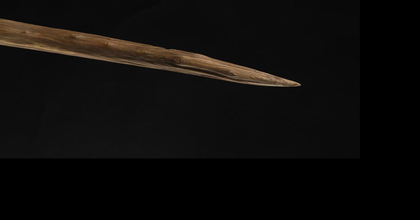 Ancient wooden spears found in Germany may have been wielded by ...