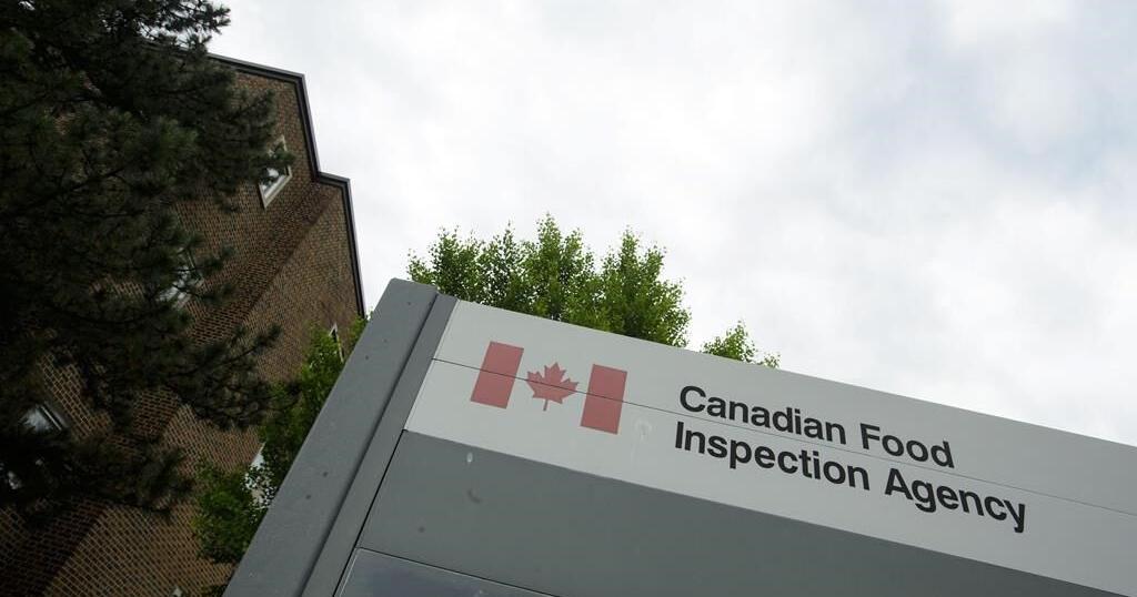 Canadian Food Inspection Agency recalls Monster energy drinks with ...