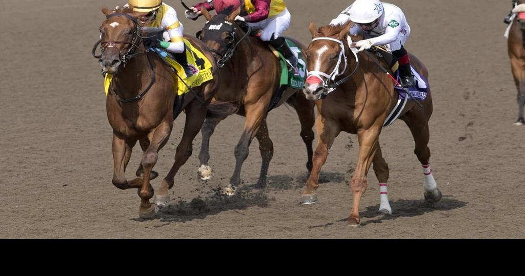 My Boy Prince overcomes bad start to secure victory in $150,000 Plate ...