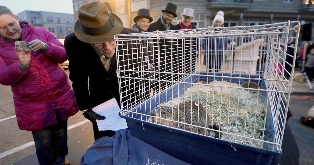 Punxsutawney Phil predicts an early spring at Groundhog Day festivities ...
