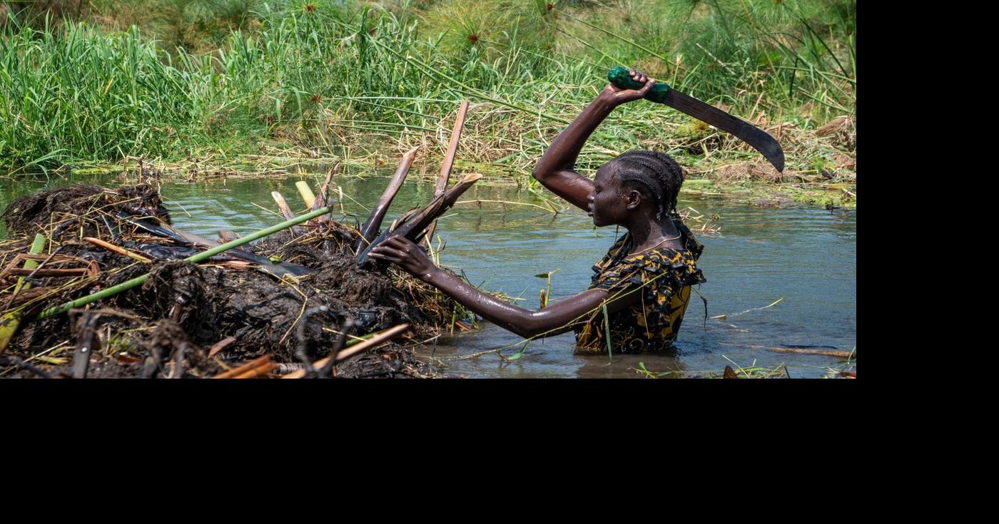 South Sudanese community fights to save land from relentless flooding ...