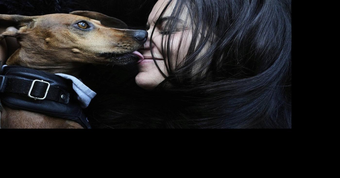 As more Argentines go childless, pampered dogs become part of the ...