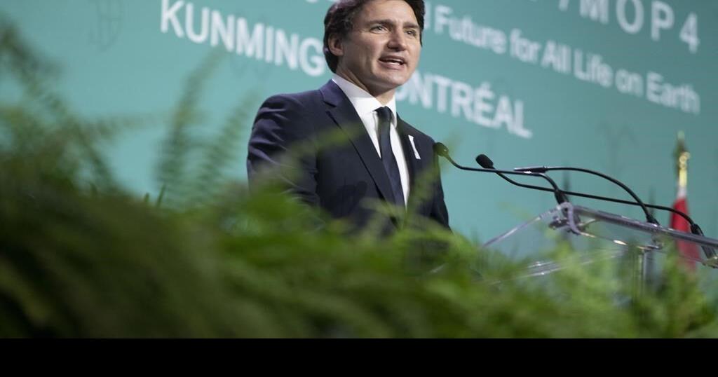 Canada commits $800 million to support Indigenous-led conservation ...