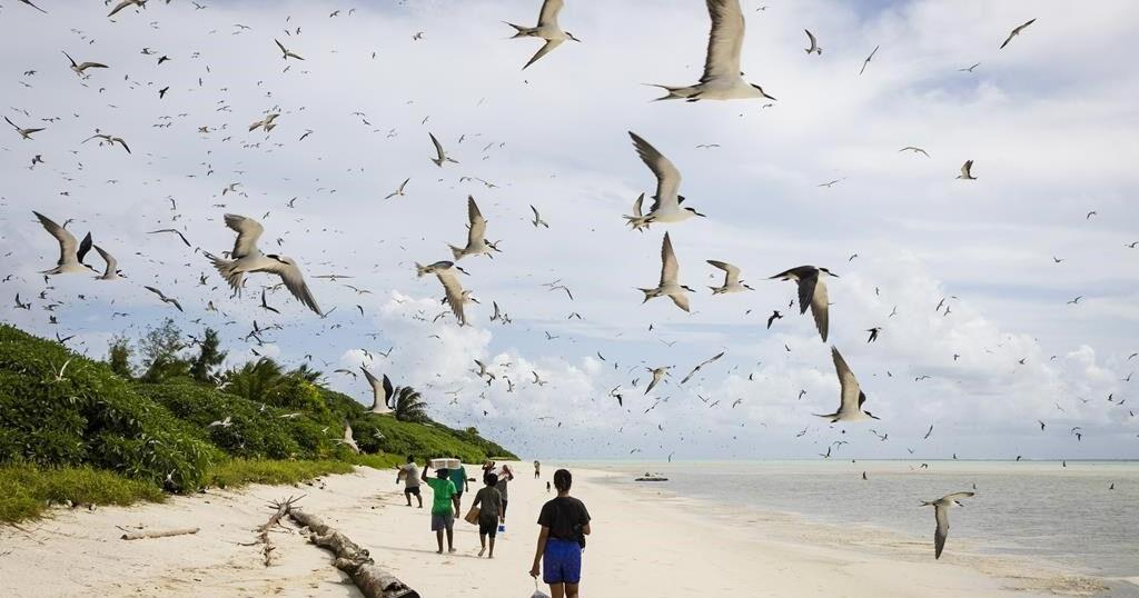 Palau’s vibrant Helen Reef is a magnet for poachers. These rangers keep ...