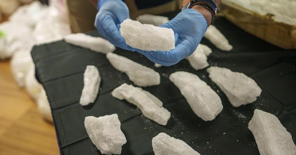 Spanish police say they've broken up Sinaloa cartel network, and seized ...