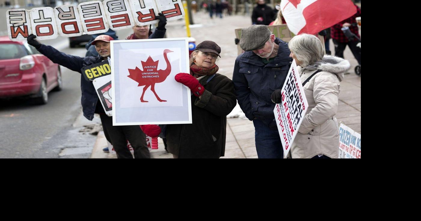 Months after B.C. ostrich cull, why does protest movement persist ...