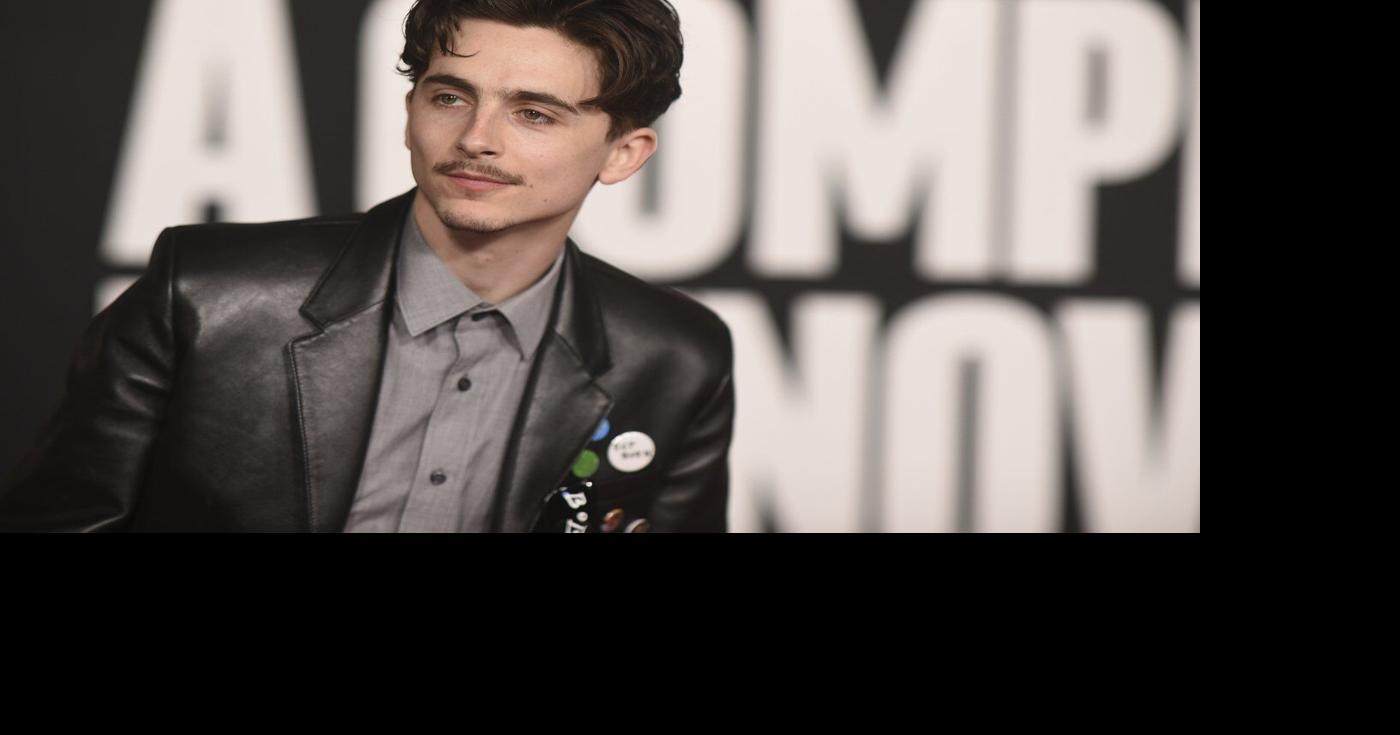 How Timothée Chalamet transformed into Bob Dylan | Entertainment News | thecanadianpressnews.ca
