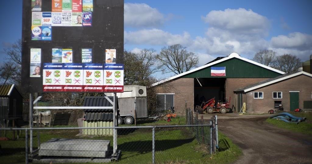 Populist Farmer Citizen Movement wins big in Dutch election ...