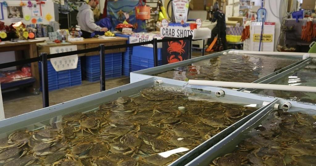 California's commercial Dungeness crab season delayed for the sixth ...