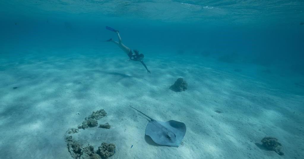 Tahiti's rahui tradition has helped revive ecosystems - including near ...