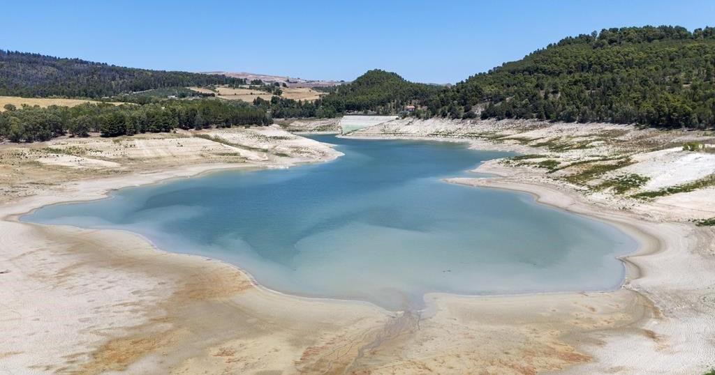 Extended drought parches Sicily, and farmers worry about being forced ...