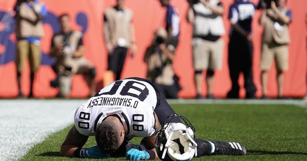 Sprains, strains and ACL tears. What to know about some of the NFL's ...