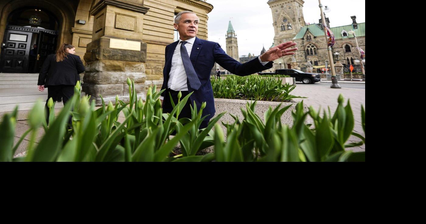 Carney says he won't make a pact with NDP, confirms King Charles to ...