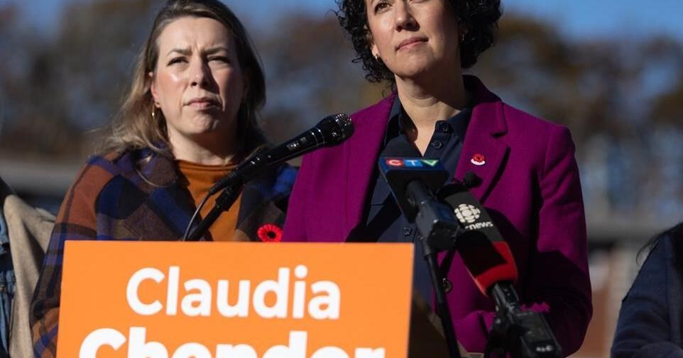 Nova Scotia NDP candidate out after criticism for 'troubling' posts ...