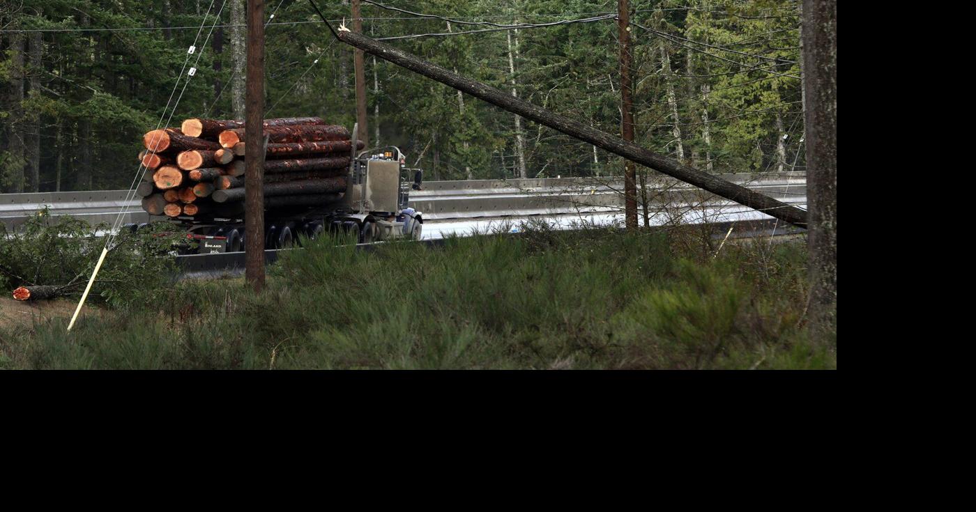 BC Hydro says power almost fully restored after B.C. windstorms ...