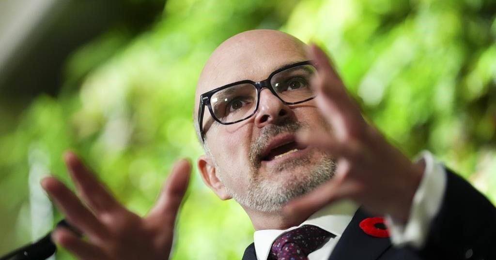 Chair of Liberal Indigenous caucus says identity 'complicated' as ...