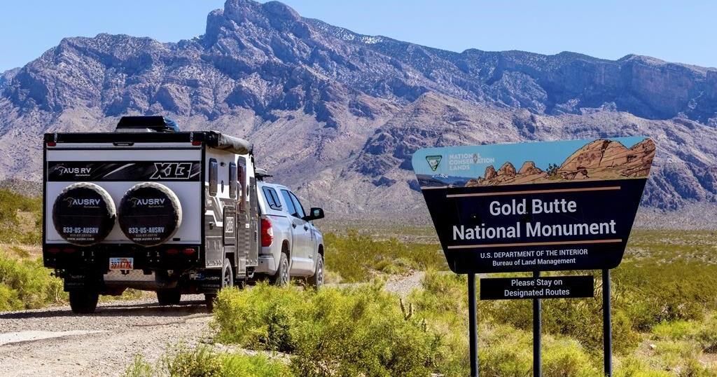10 years after armed standoff with federal agents, Bundy cattle are ...