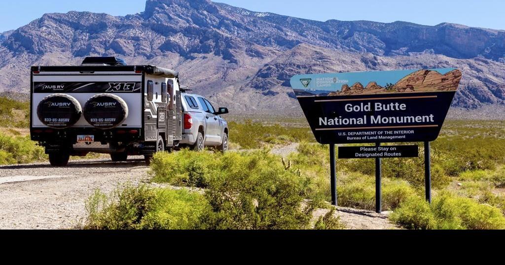 10 years after armed standoff with federal agents, Bundy cattle are ...