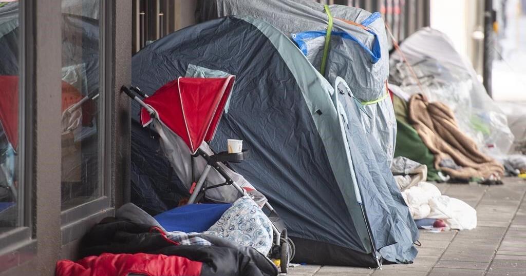 Want a more accurate number of Canada's homeless population? Try ...