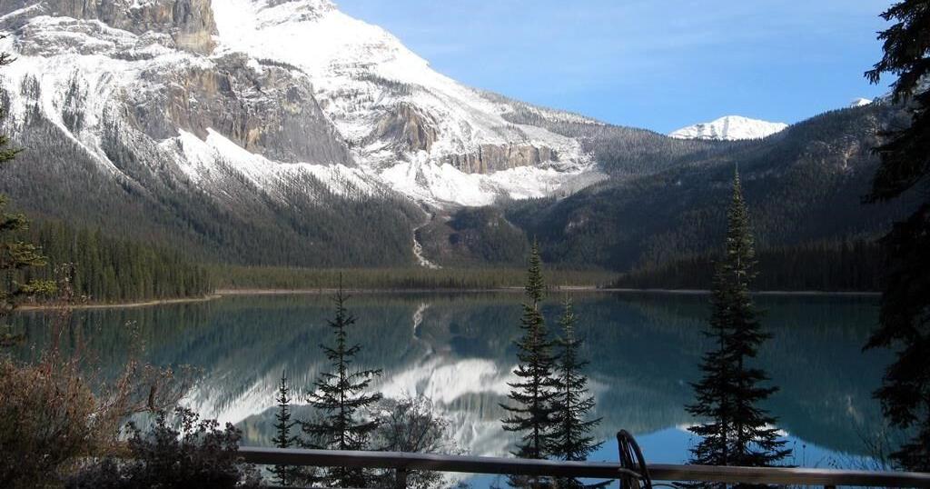 A first in B.C. as parasite that causes whirling disease invades ...