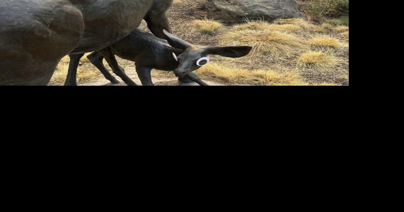 Mysterious googly eyes go viral after appearing on public art in Oregon ...