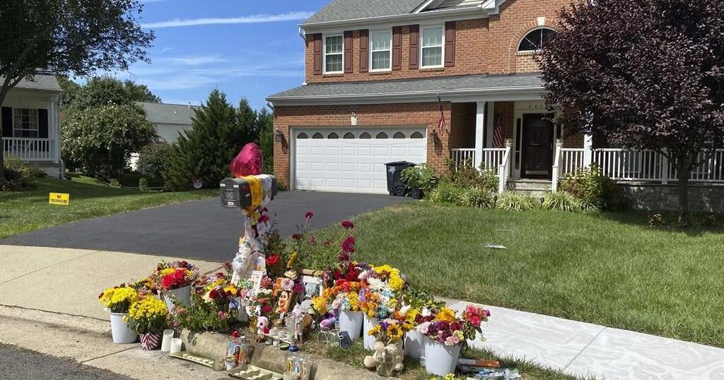 Husband of missing Virginia woman to head to trial in early 2025 ...
