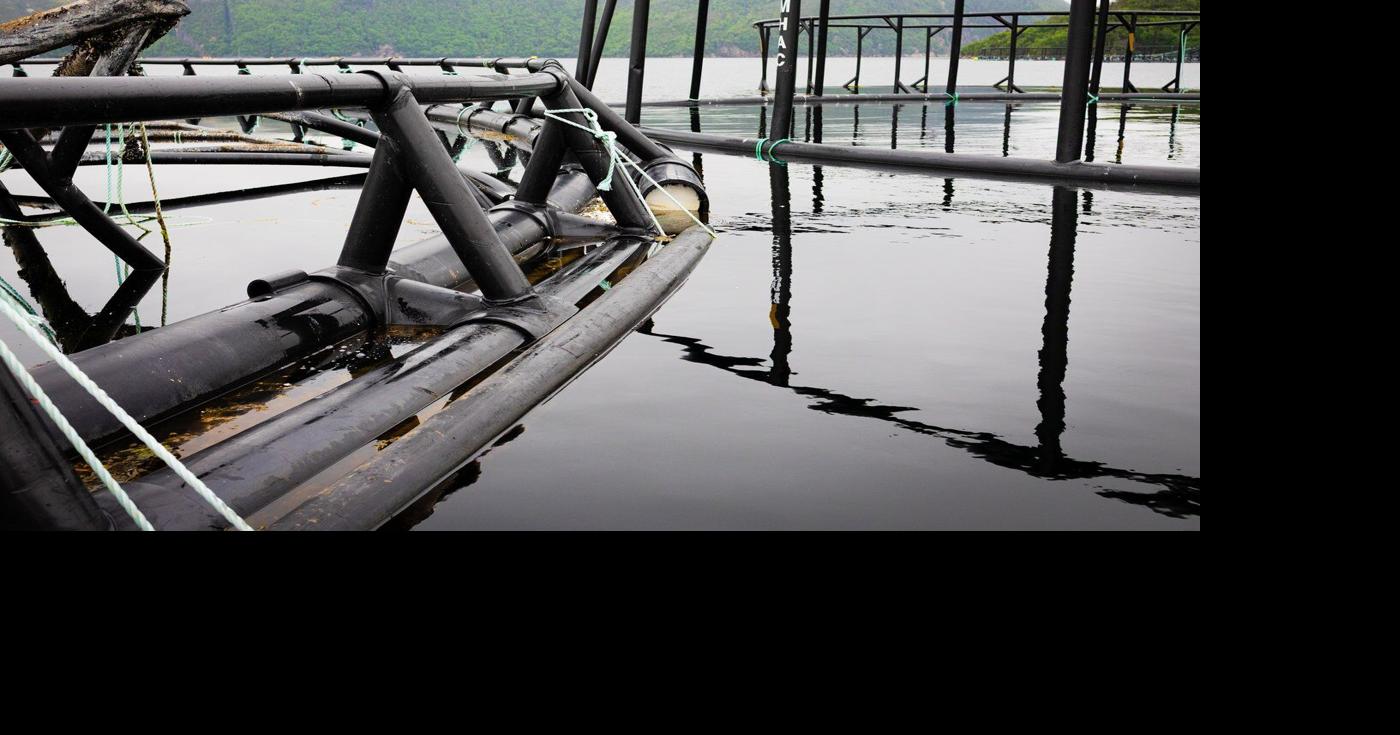 Salmon group says aquaculture companies stashing garbage along ...