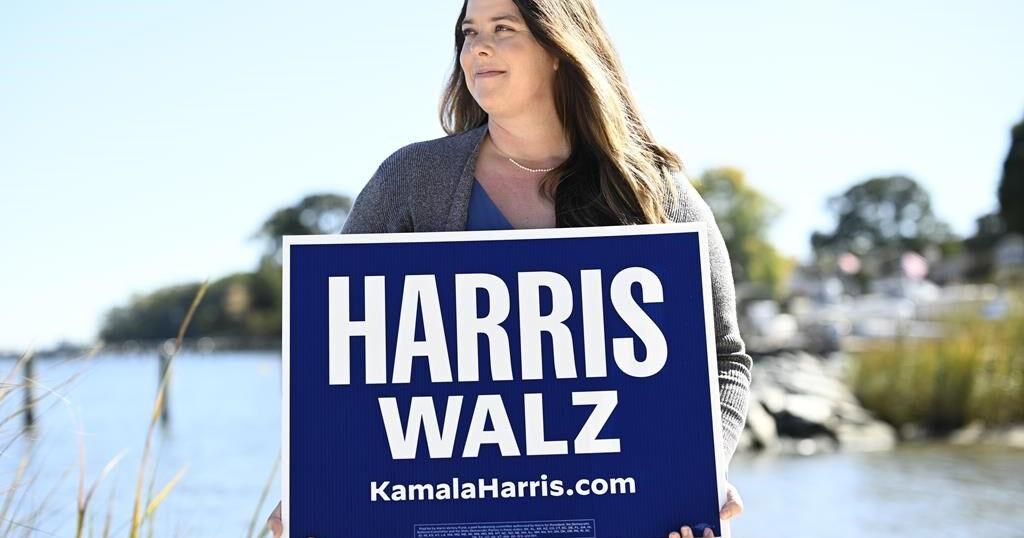 Those early Zoom meetings got people fired up for Harris. Now they're ...