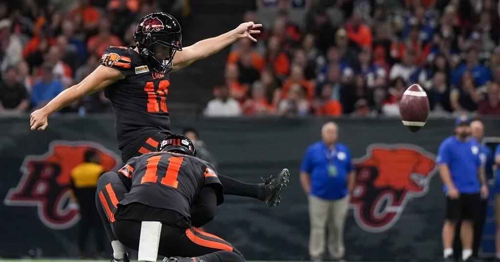 Lions re-sign punter Stefan Flintoft for the 2024 CFL season | Sports ...