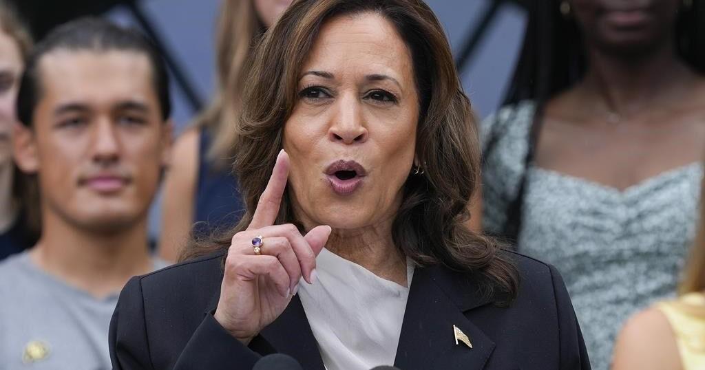 Black voters feel excitement, hope and a lot of worry as Harris takes ...