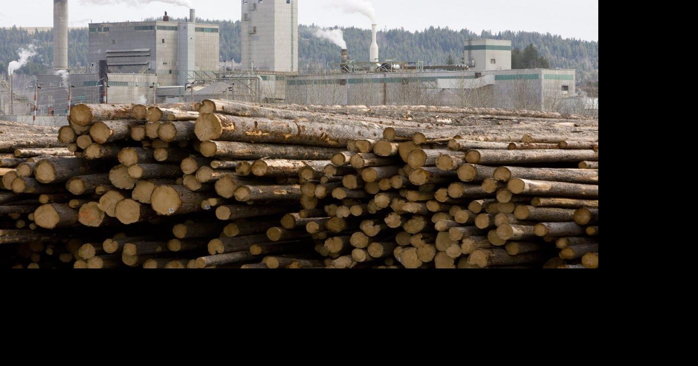 West Fraser Timber reports US$751M loss in Q4, impairment charges ...