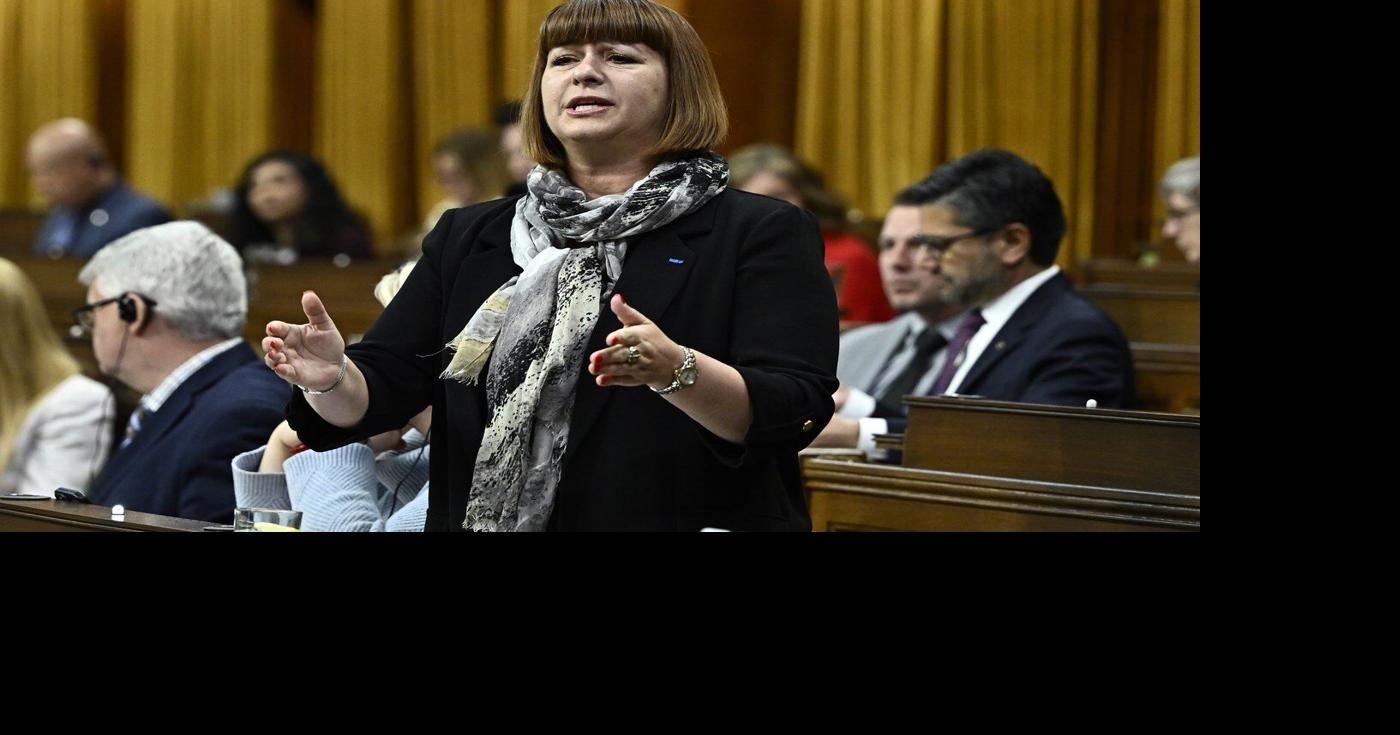 Liberal MP says it's time to stop the clock on daylight time | National ...