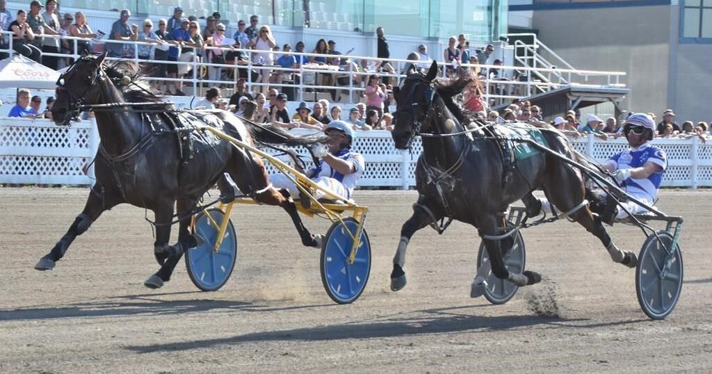 Harness racing driver James MacDonald captures 2024 Canadian driving ...